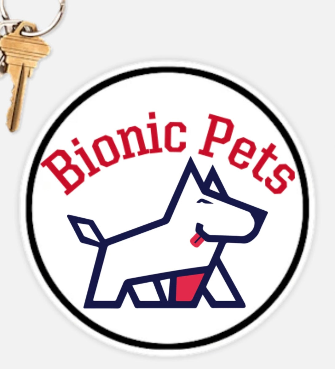 Bionic Pets Magnet
