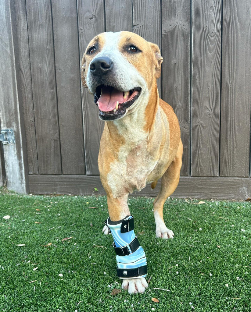 Canine Carpal Brace | Carpal Brace for Dogs – Bionic Pets